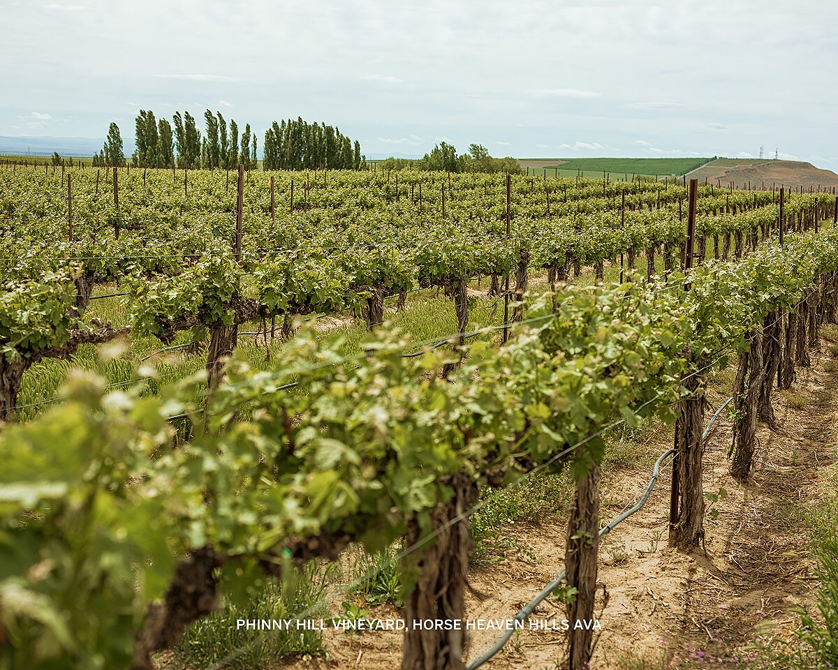 Matthews Winery | 2021 Matthews Horse Heaven Hills Cabernet Sauvignon