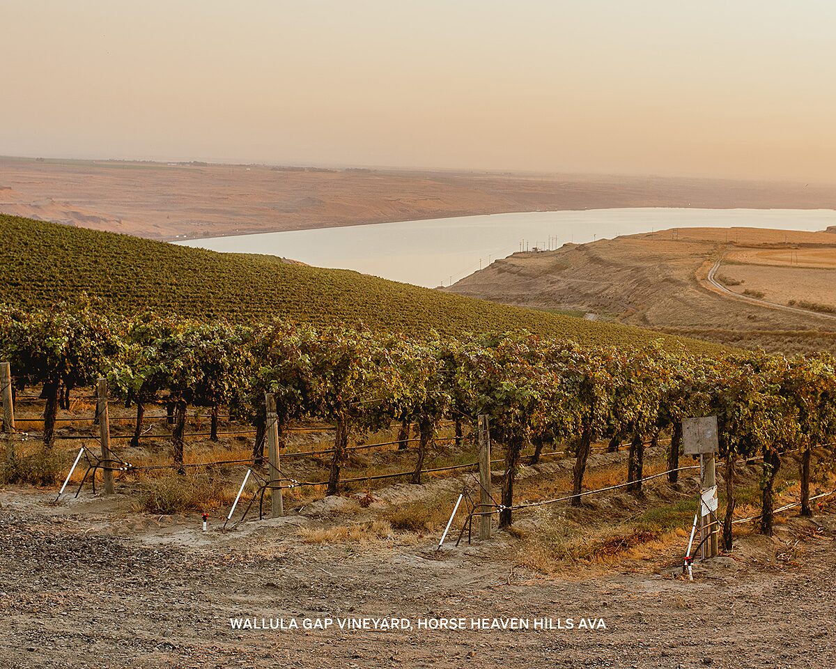 Matthews Winery | 2021 Matthews Horse Heaven Hills Cabernet Sauvignon